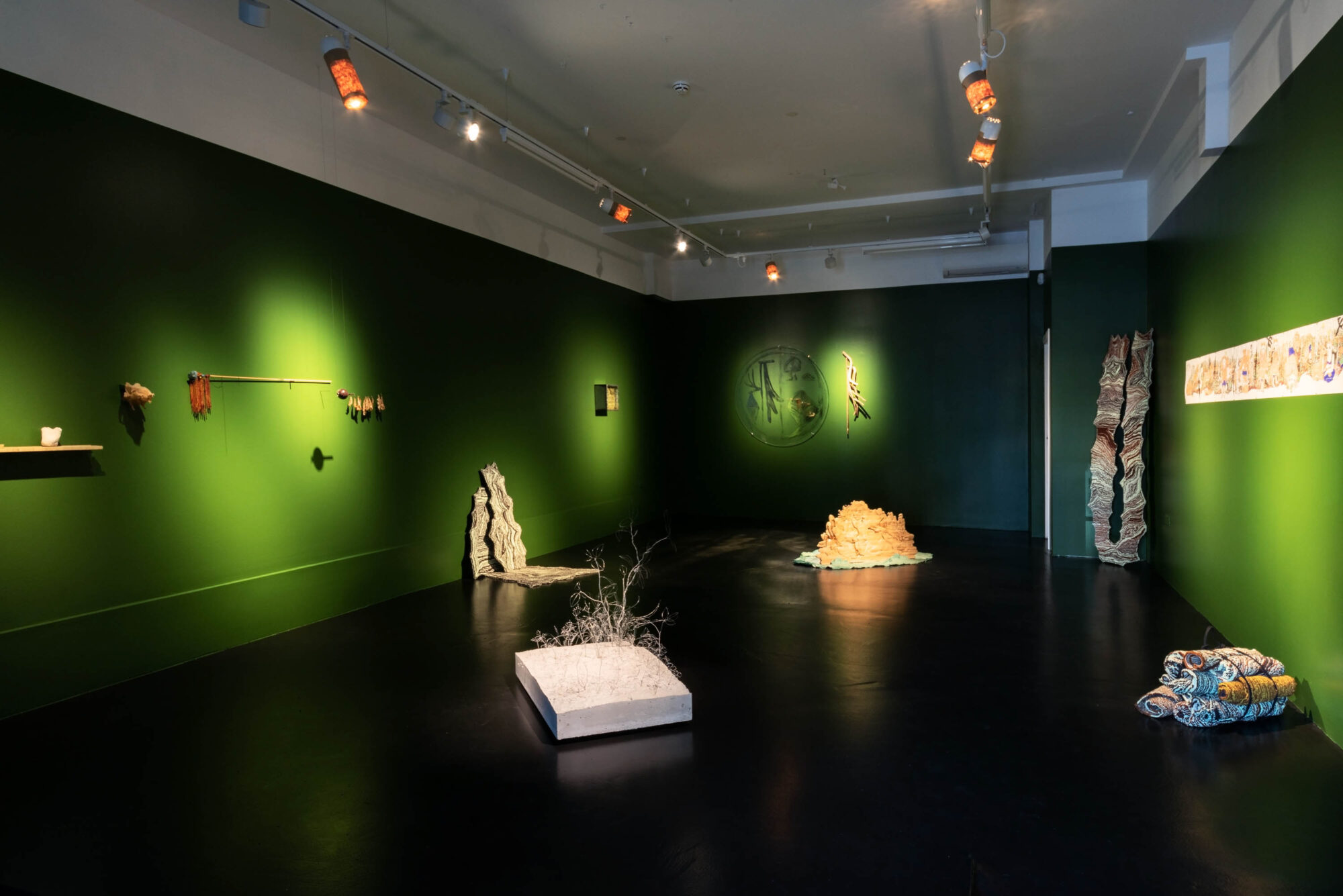 The Bambi Project – Kogo Gallery