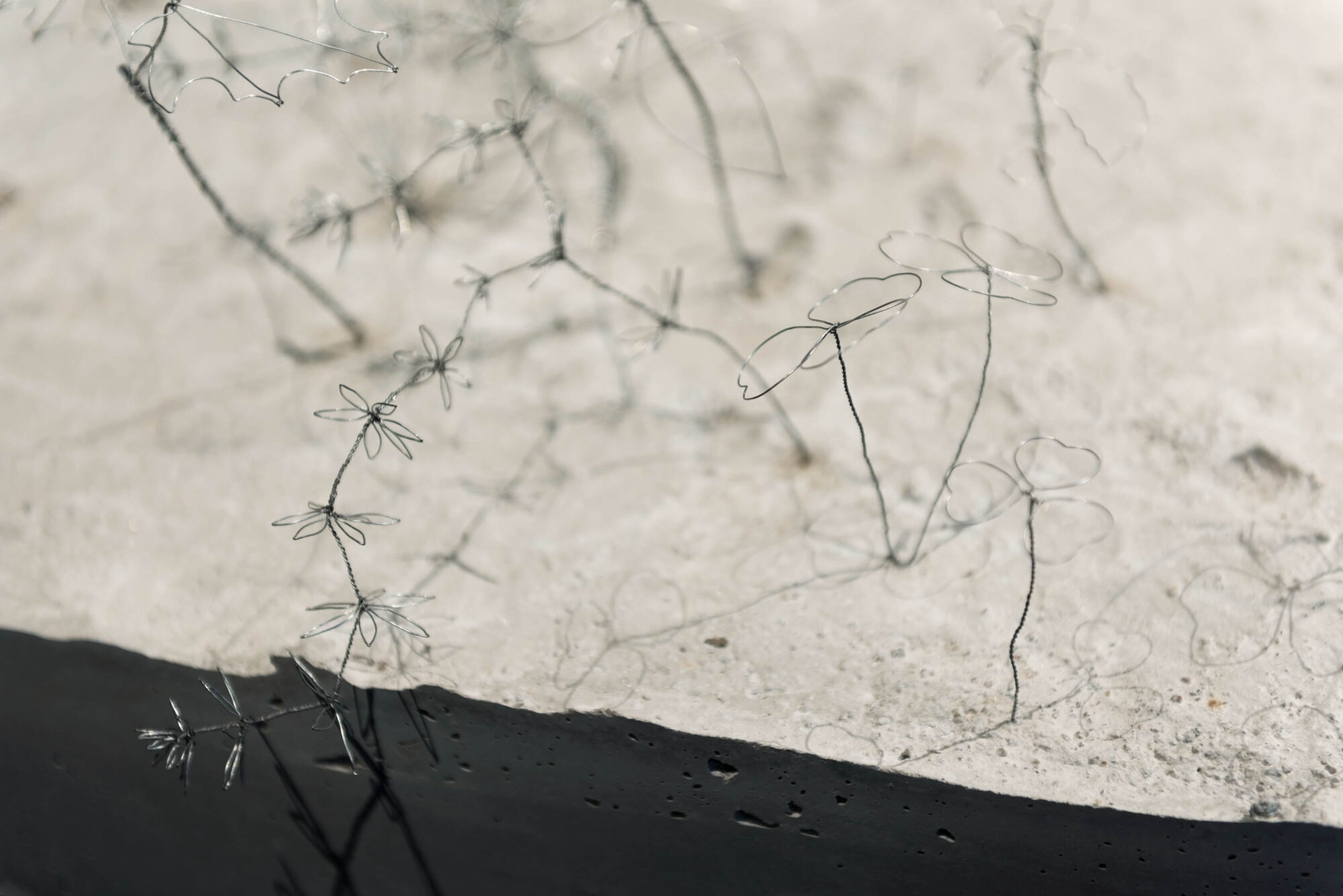 The Bambi Project – Kogo Gallery