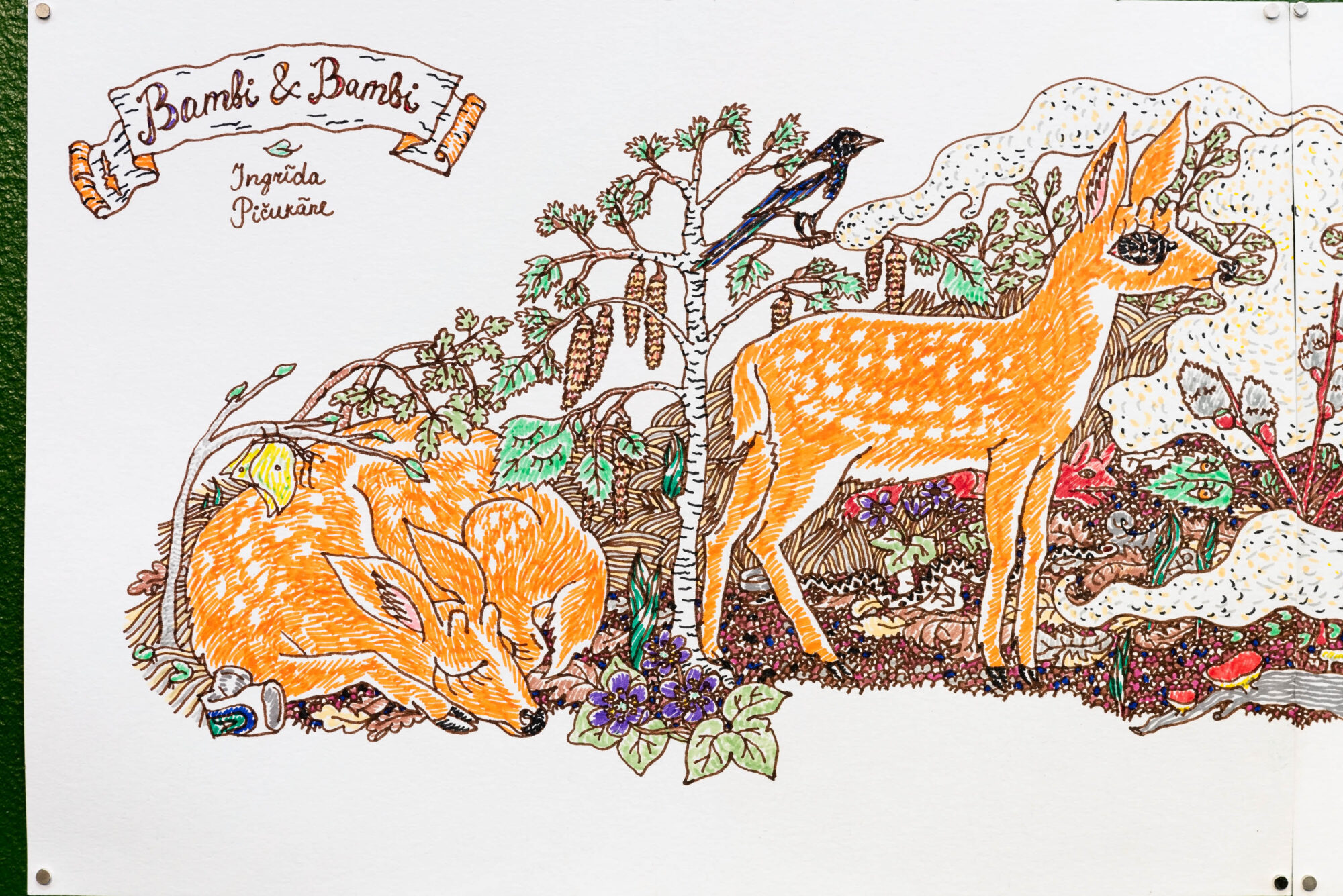 The Bambi Project – Kogo Gallery